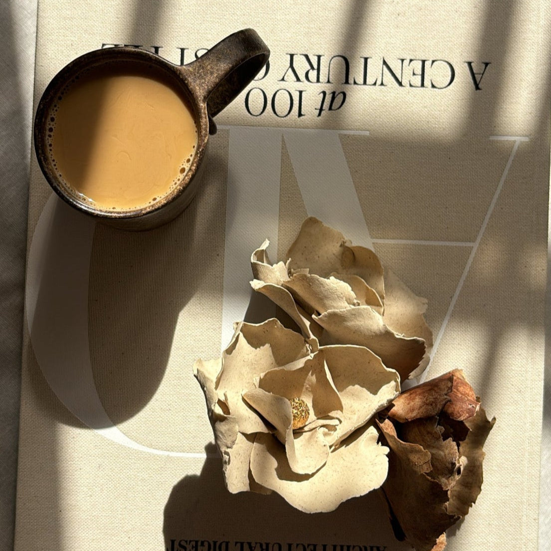 Coffee Mugs – Soy Semilla Flore Siendo